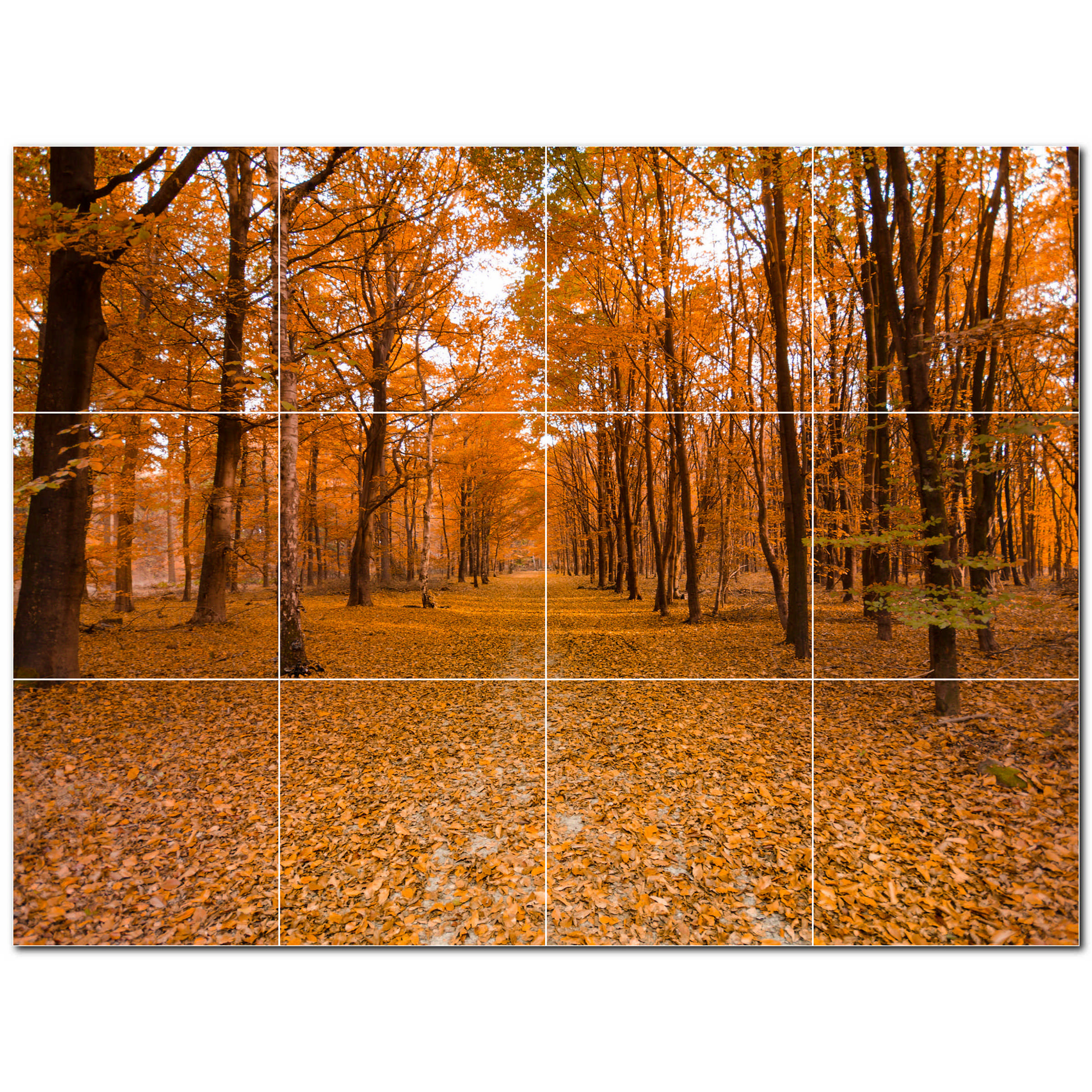 Picture-Tiles.com Autumn Photo 12 x 12 | Wayfair