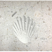 Accent & Decorative Tiles