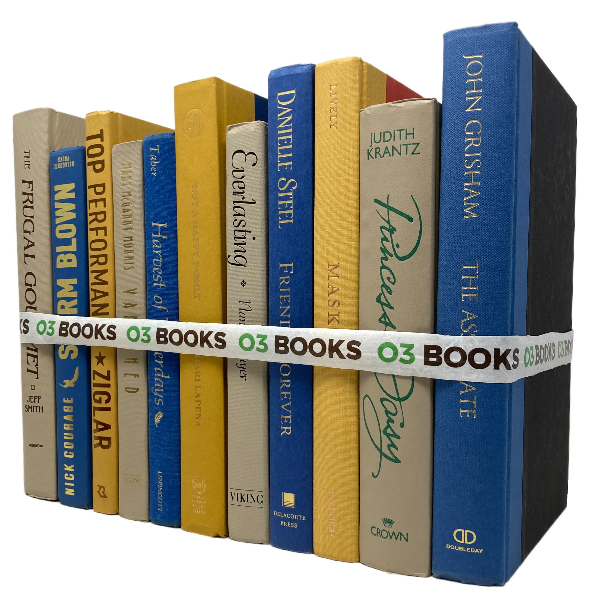 Red Barrel Studio® Golden Coast Decorative Books Yellow, Beige and Blue ...