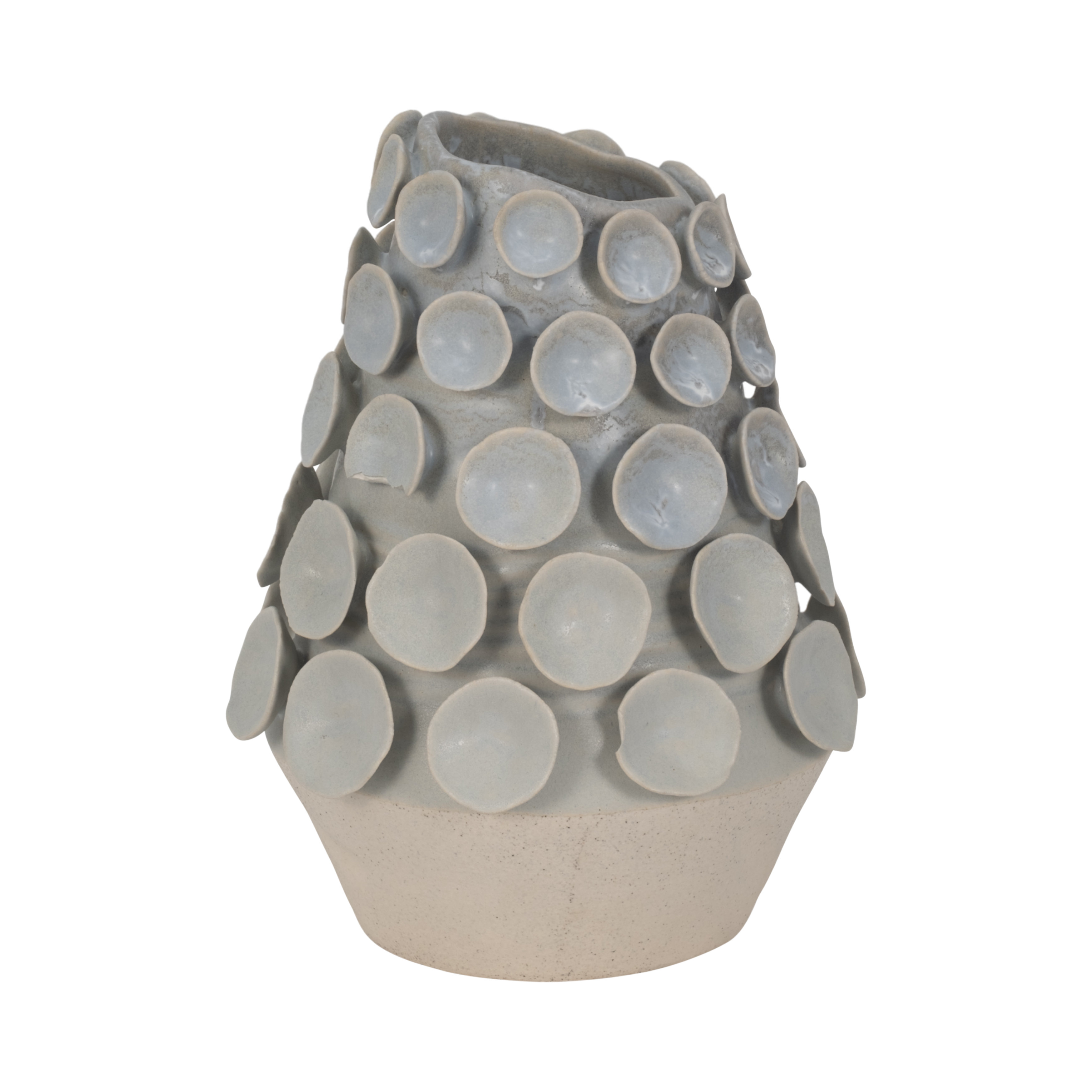 Ivy Bronx Coral Applique Vase, Light Blue Multi | Wayfair