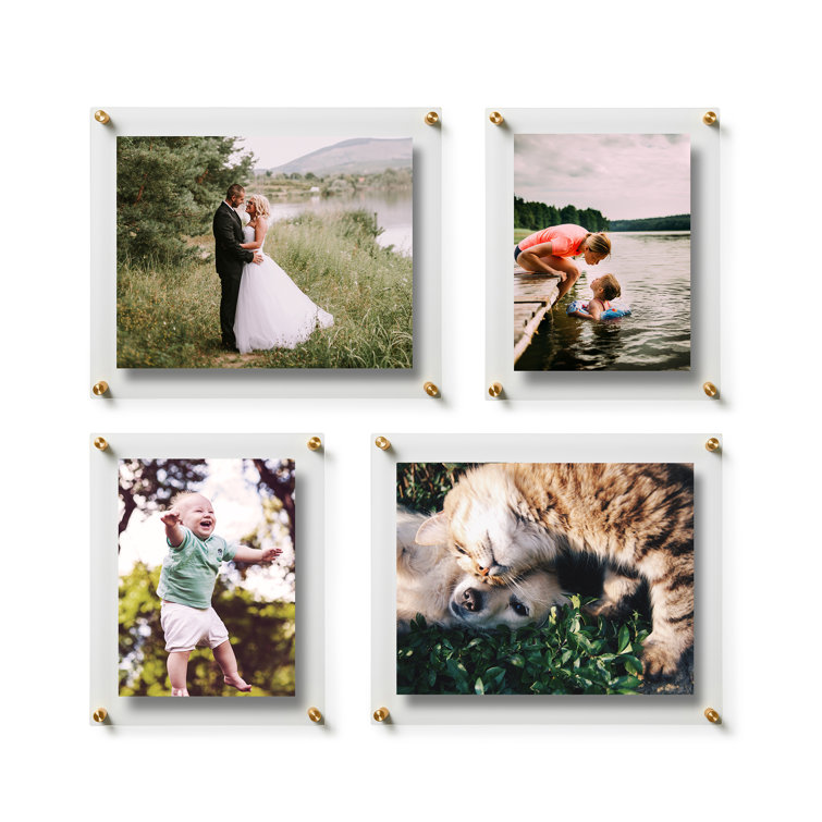 Wexel Art 4 Piece Quattro Double Panel Float Picture Frame Set | Wayfair