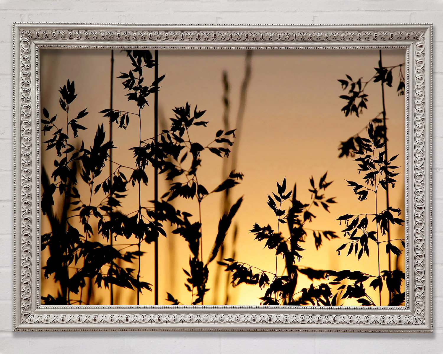 Bright Star Sunlight Through The Reeds - Single Picture Frame Print ...