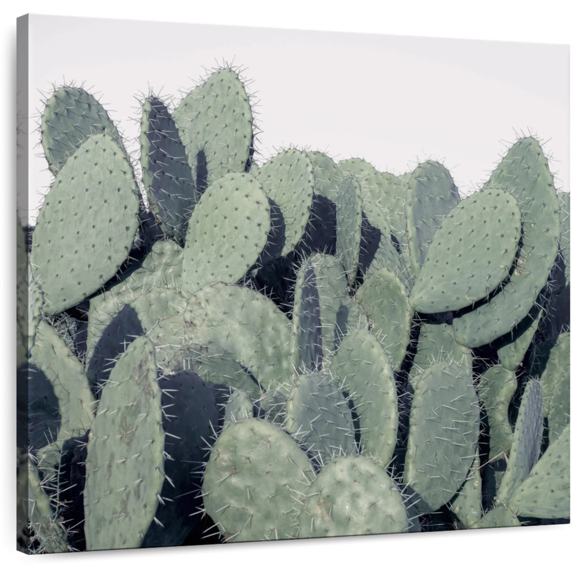 Elephant Stock Cacti Cluster | Wayfair