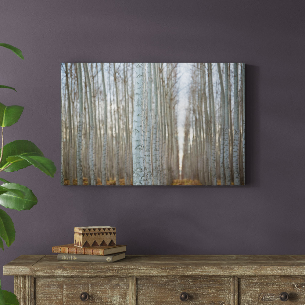 Millwood Pines 'Pacific Albus VI' Photographic Print on Wrapped Canvas ...