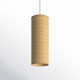 Valluga Single Light Pendant | AllModern
