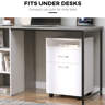 George Oliver Office Cabinet With Drawer And In White, Mobile Fits ...