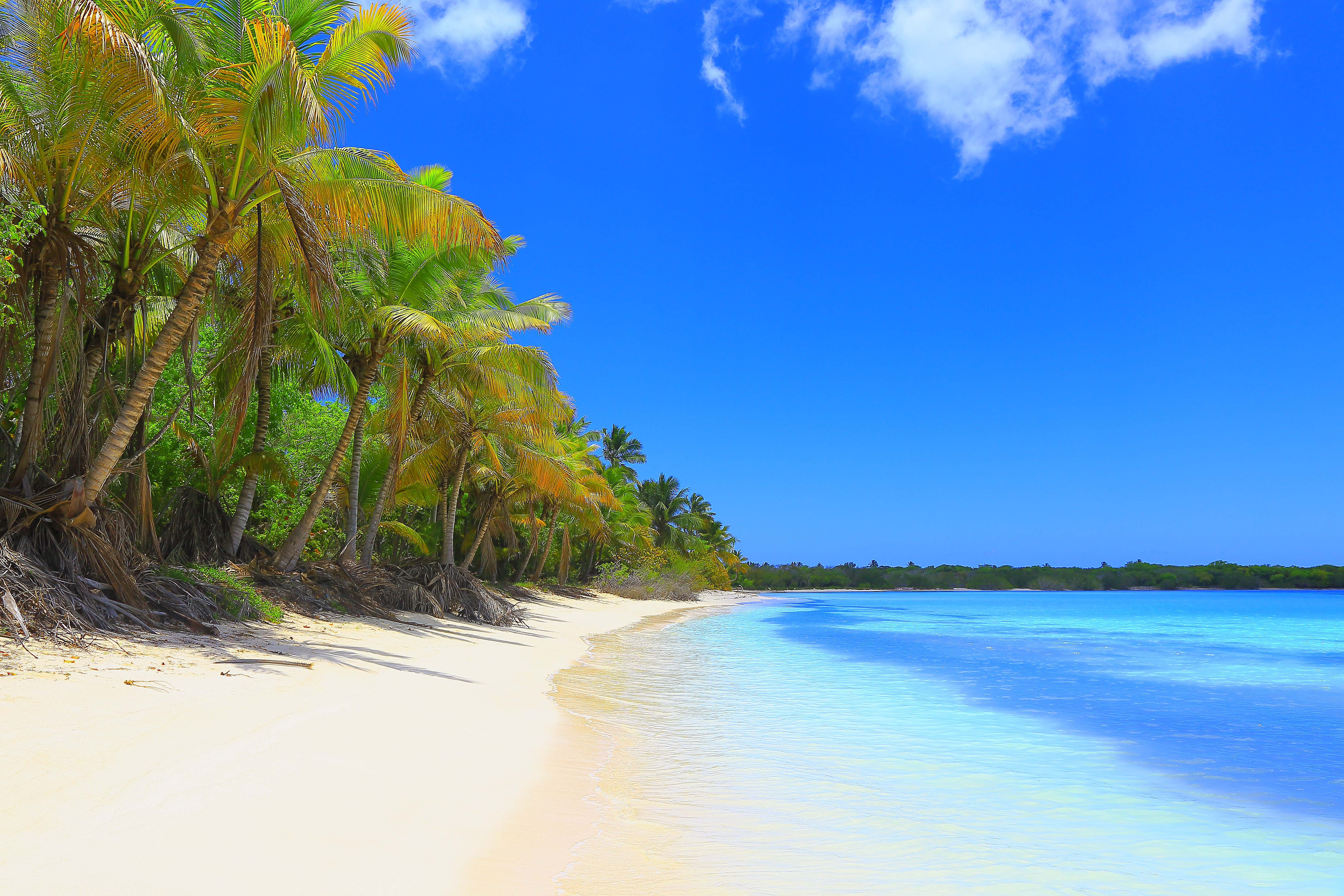 Highland Dunes Turquoise Bright Beach by Agustavop | Wayfair