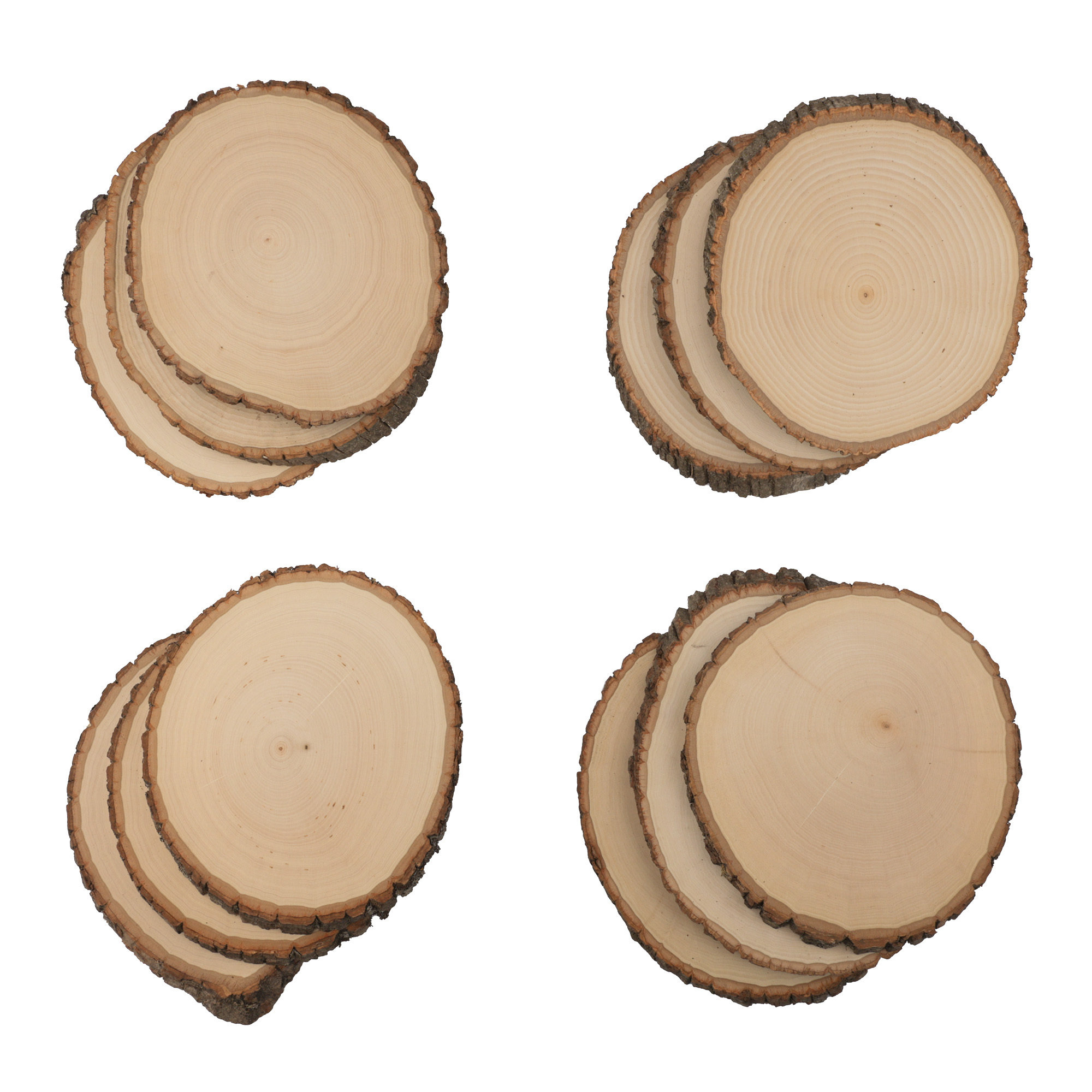 Walnut Hollow Rustic Basswood Rounds, Medium | Wayfair