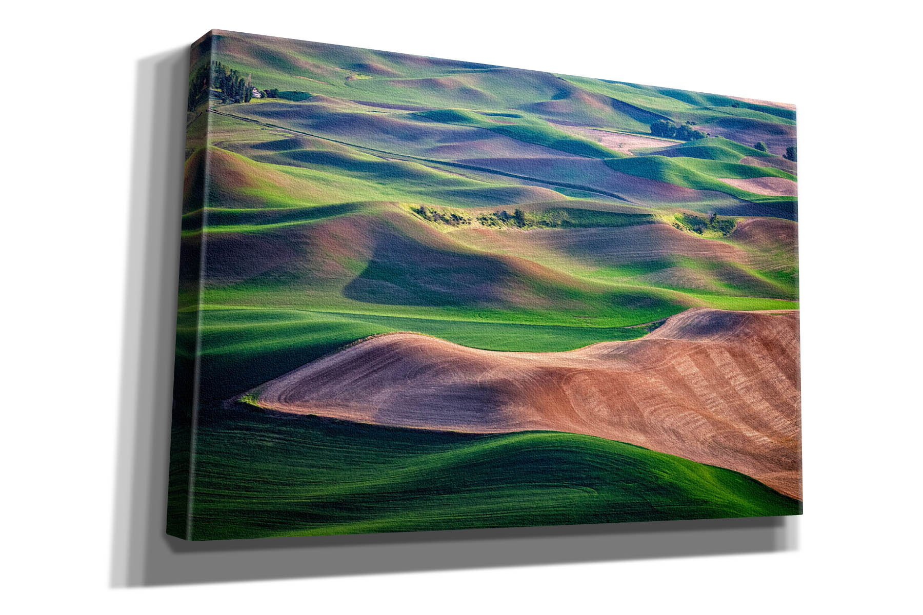 Epic Graffiti 'Undulation' by Rick Berk Canvas Wall Art | Wayfair
