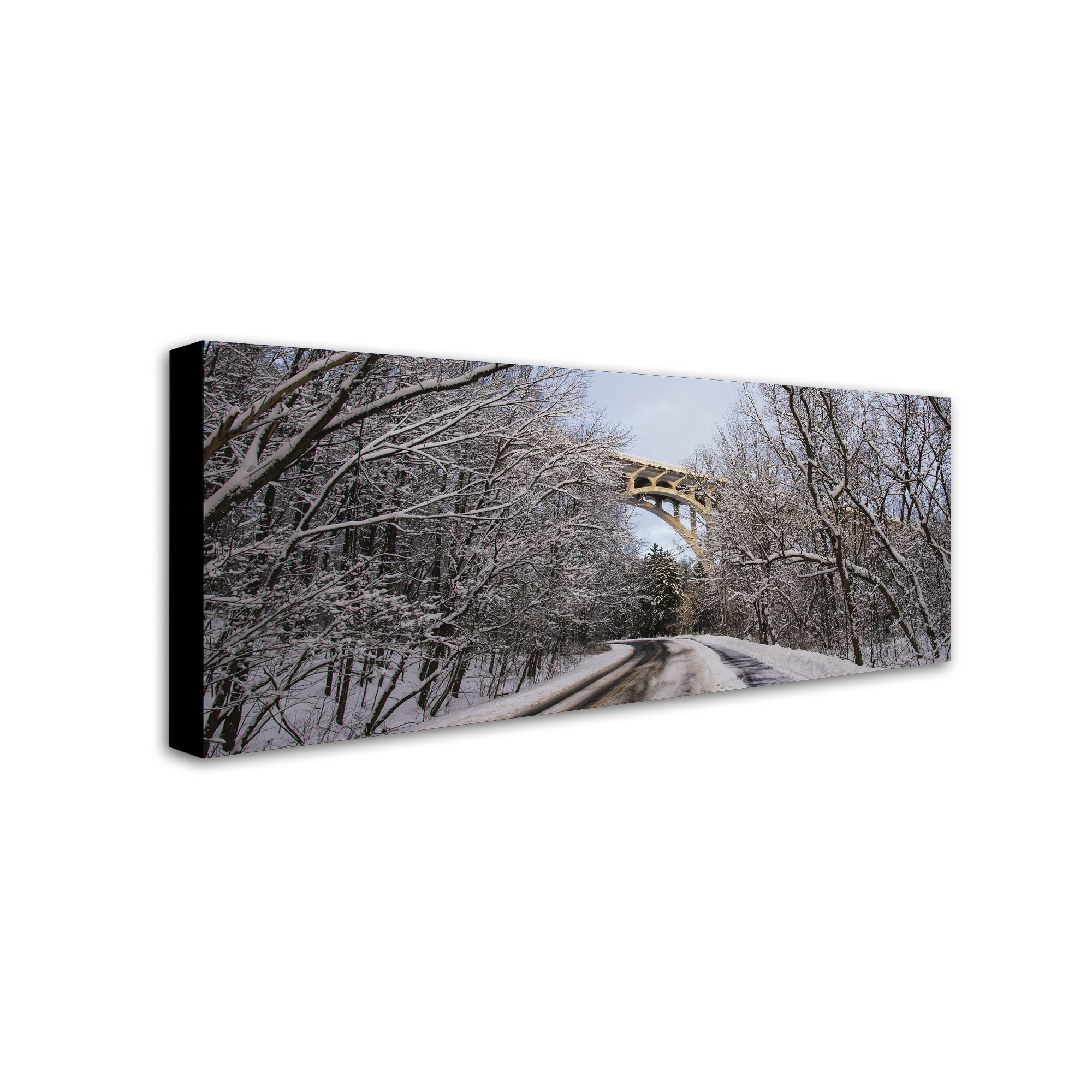 Millwood Pines 'Heavy Snowfall Along the Parkway 2' Photographic Print ...