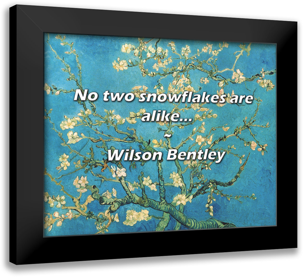 Ivy Bronx Wilson Bentley Quote: No two snowflakes are alike... | Wayfair