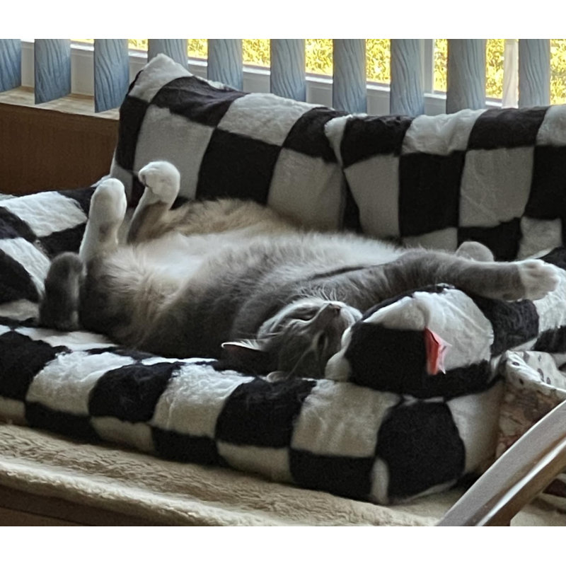Tucker Murphy Pet™ Garneta Cotton Pet Sofa | Wayfair