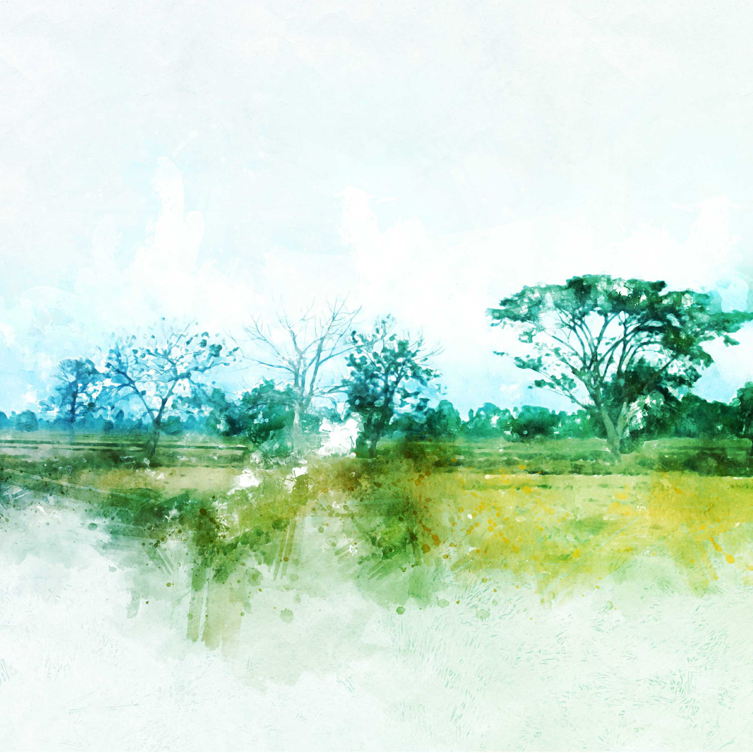 Winston Porter Watercolor of Tree and Field - Wrapped Canvas Painting ...