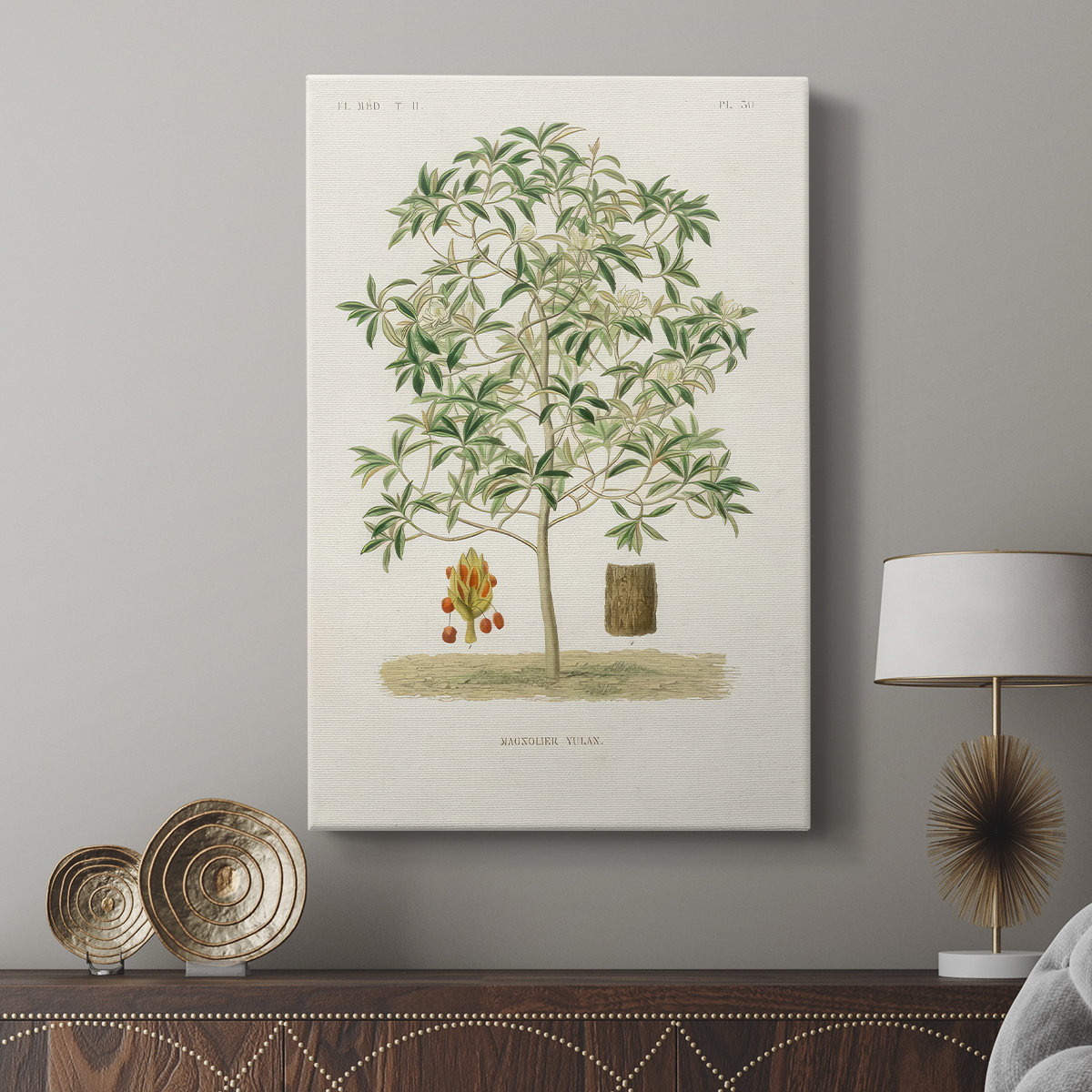 Lark Manor™ Antique Tree with Fruit VI -Gallery Wrapped Cavas | Wayfair
