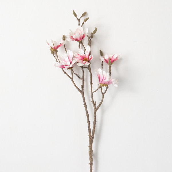 Magnolia-picks | Wayfair