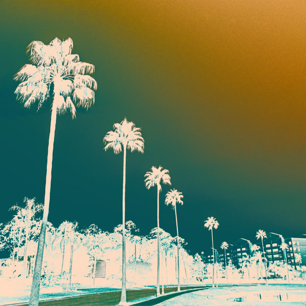 Wrought Studio Hotel Drive | Wayfair