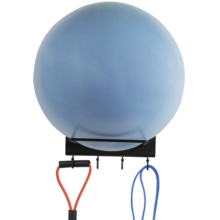 Arlmont & Co. Wall Mounted Sports Storage Ball Rack w/ Hook - Wayfair ...
