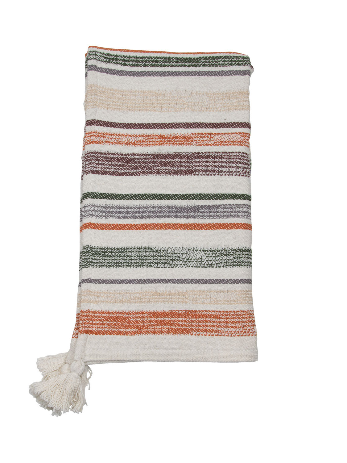 Foreside Home & Garden Hayes Hand Woven Cotton Throw & Reviews | Wayfair