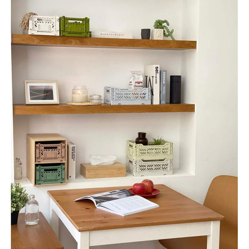 Rebrilliant Foldable Plastic Crate, Collapsible Storage Bin to Organize ...