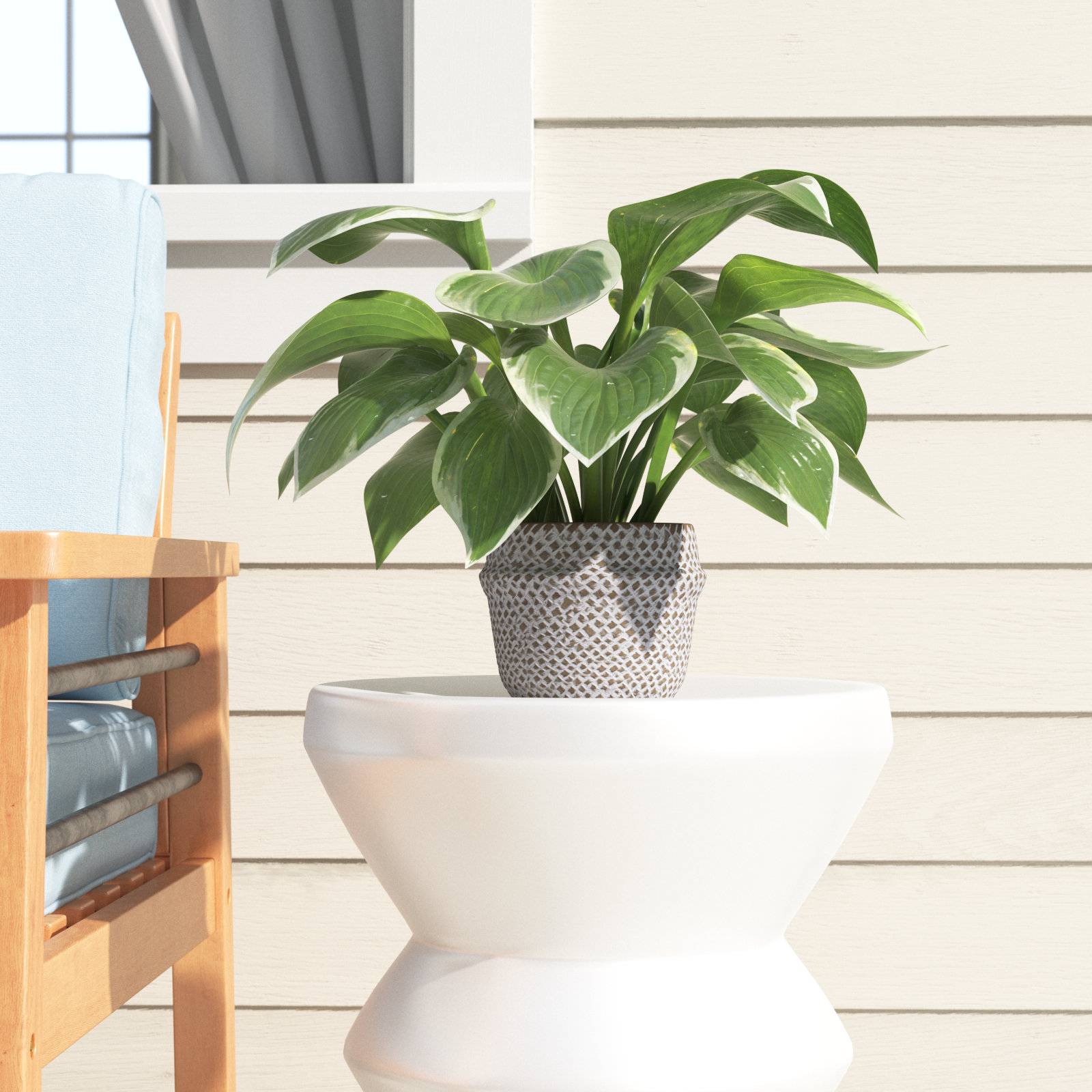 Sand & Stable™ Skadar Basket Cachepot | Wayfair