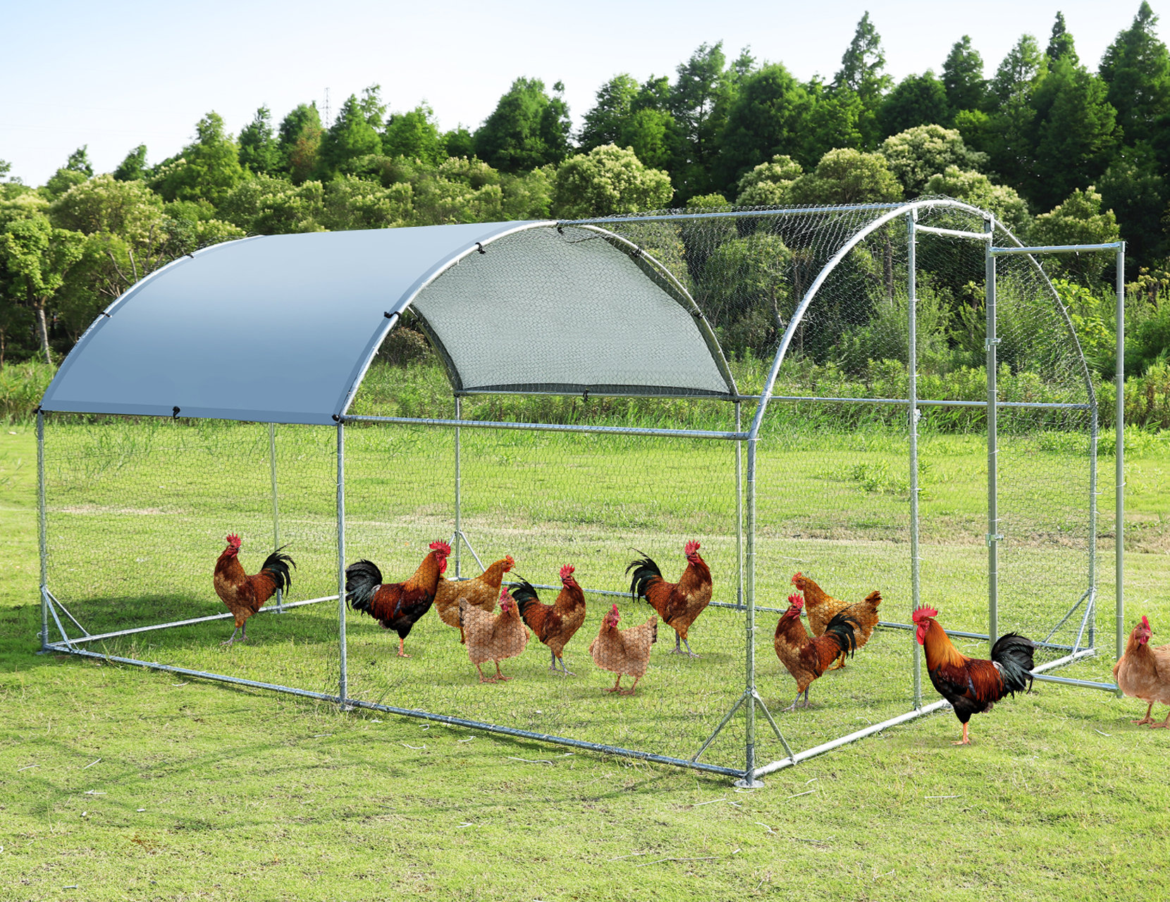 Tucker Murphy Pet™ Elree 114.53 Square Feet Chicken Coop For Up To 14 ...