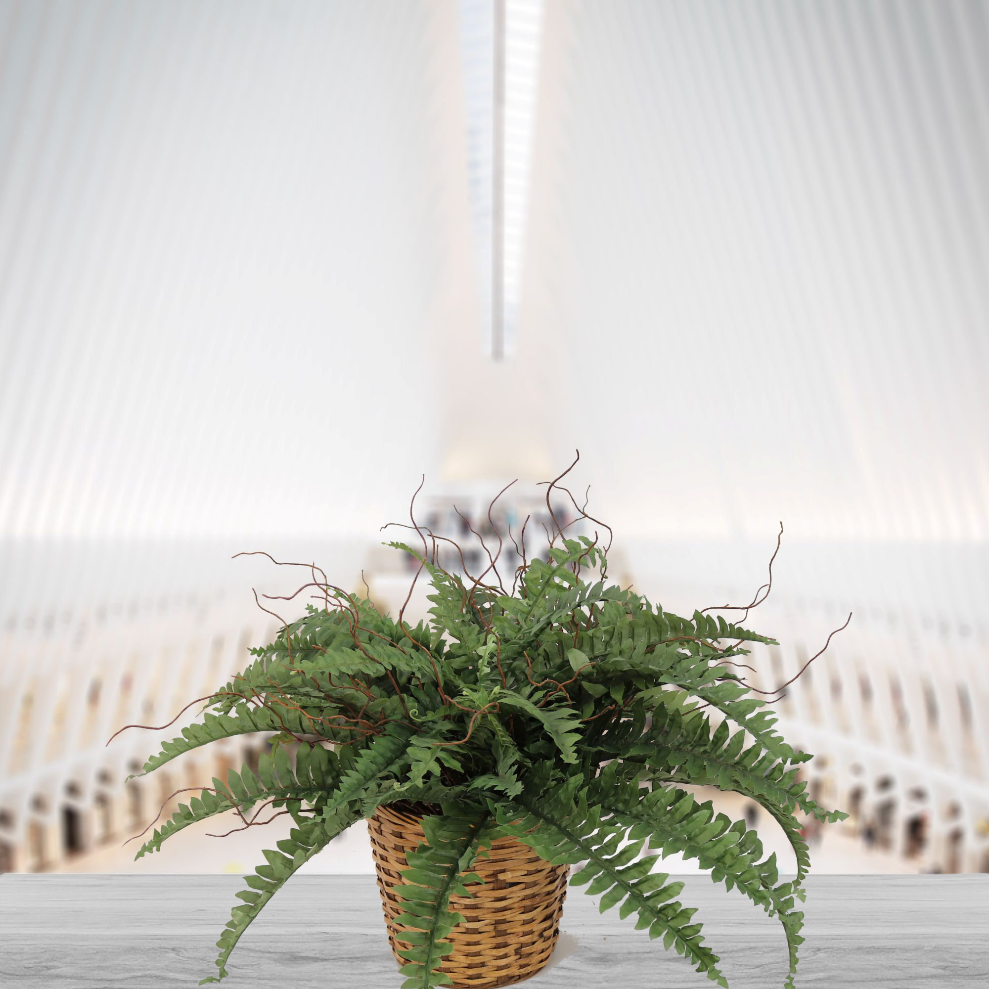 Primrue 3 - Piece 34'' Tall Artificial Fern Plant Set - Wayfair Canada