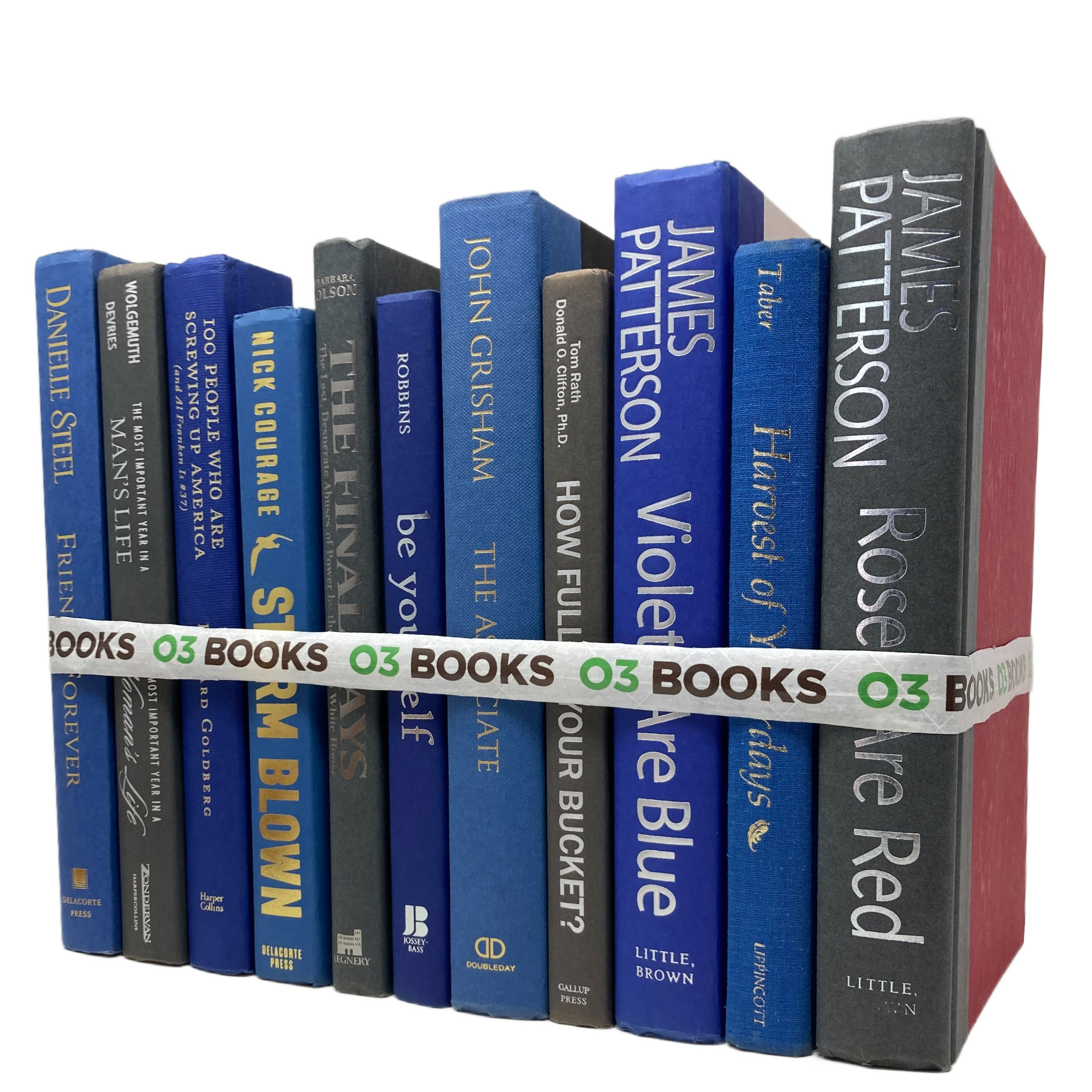 Red Barrel Studio® Granite Seas Decorative Books Blue, Gray and Violet ...