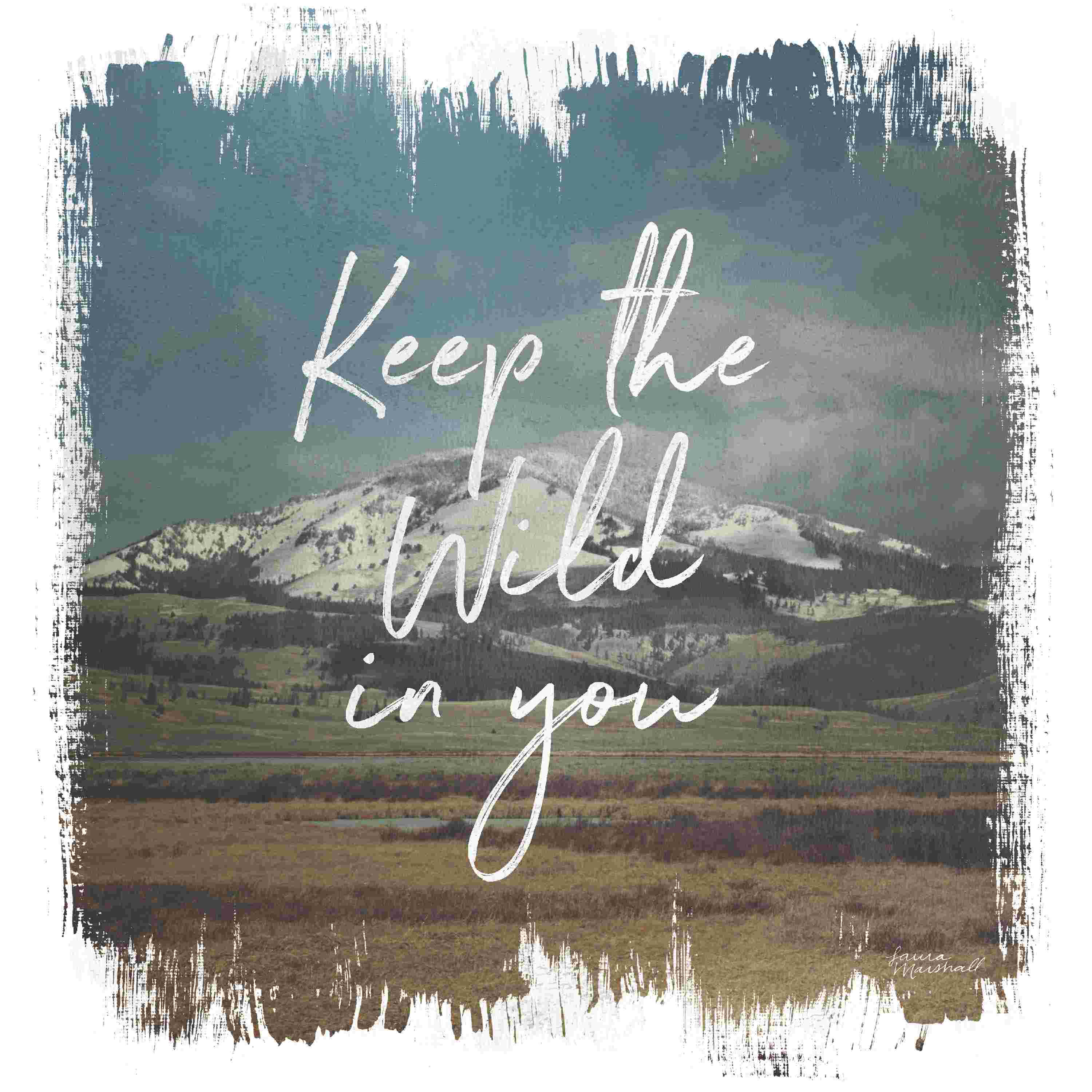 Trinx Wild Wishes I by Laura Marshall - Wrapped Canvas Textual Art ...