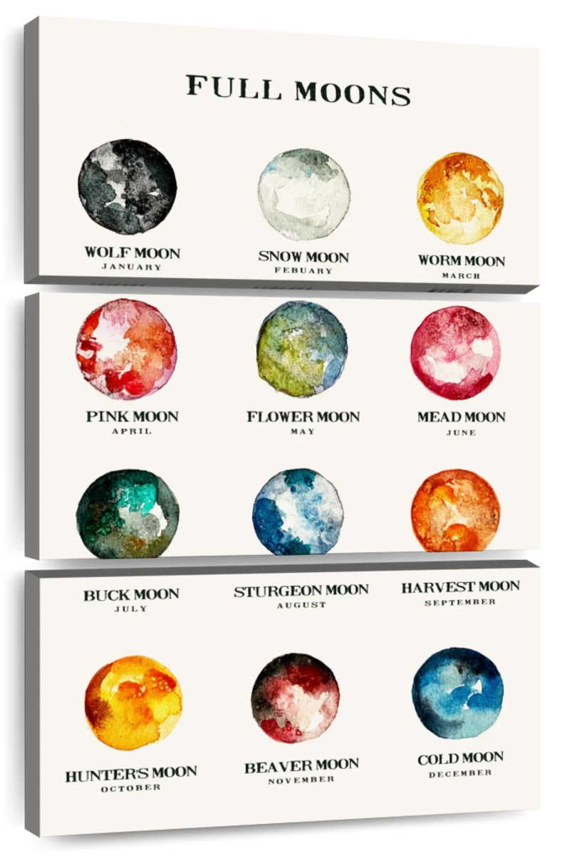 Ebern Designs Full Moons Chart | Wayfair