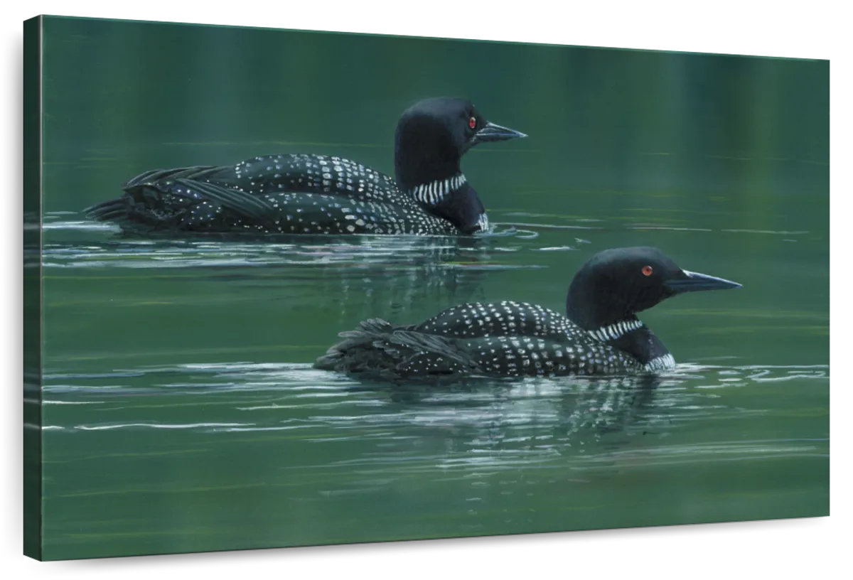 Ebern Designs Two Loons | Wayfair