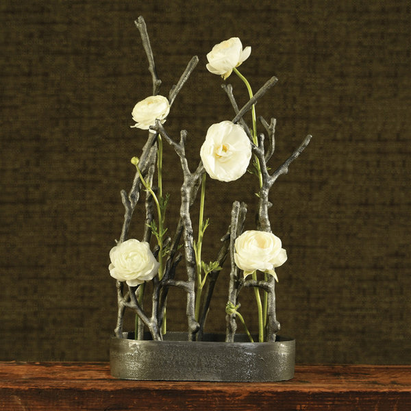 Primrue Doxon 14" Plant | Wayfair