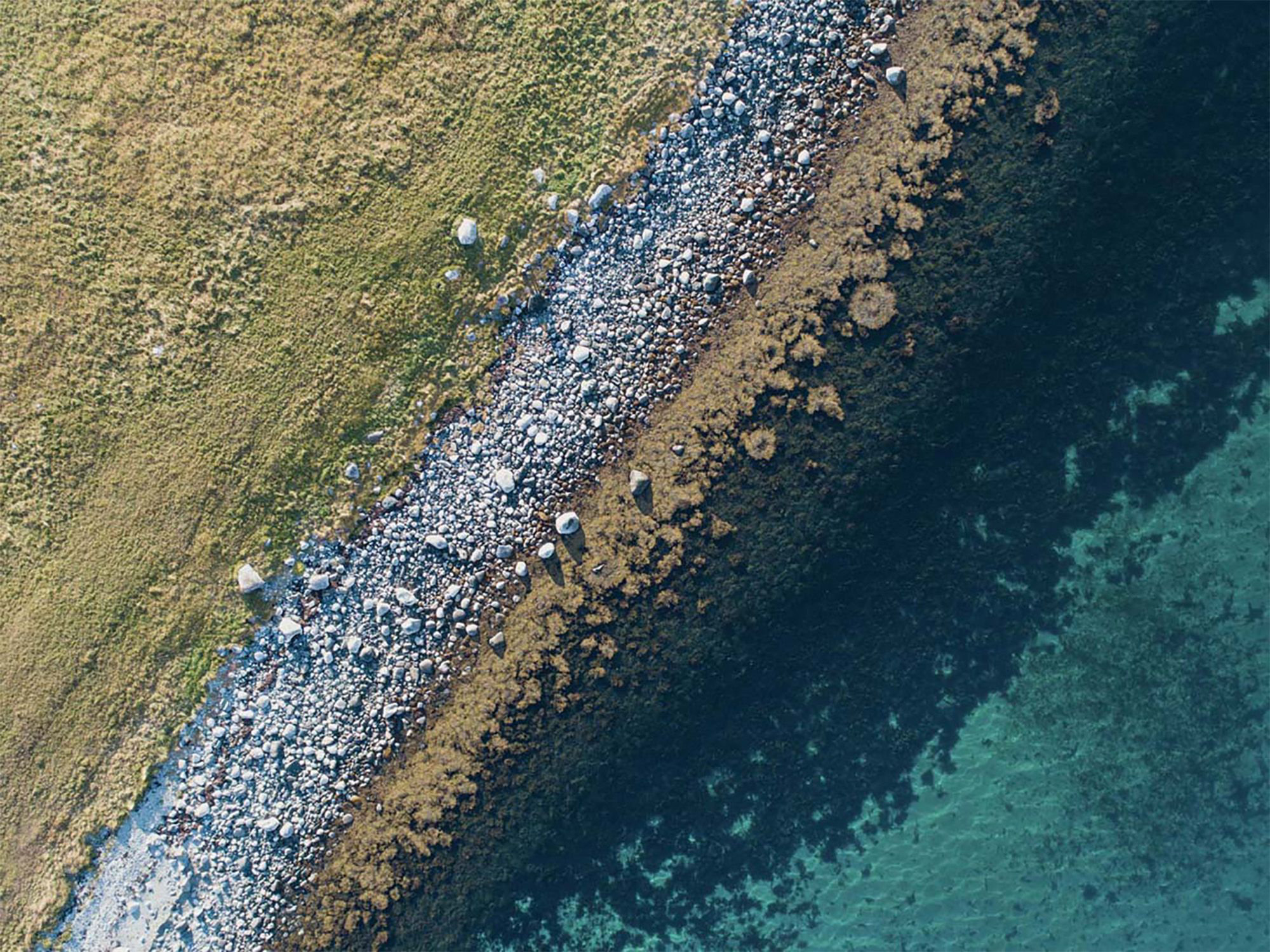 Wendover Art Group Small Aerial Shoreline 1 | Wayfair