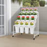 Arlmont & Co. Terisa 4-Tier Rolling Metal Flower Display Plant Rack ...