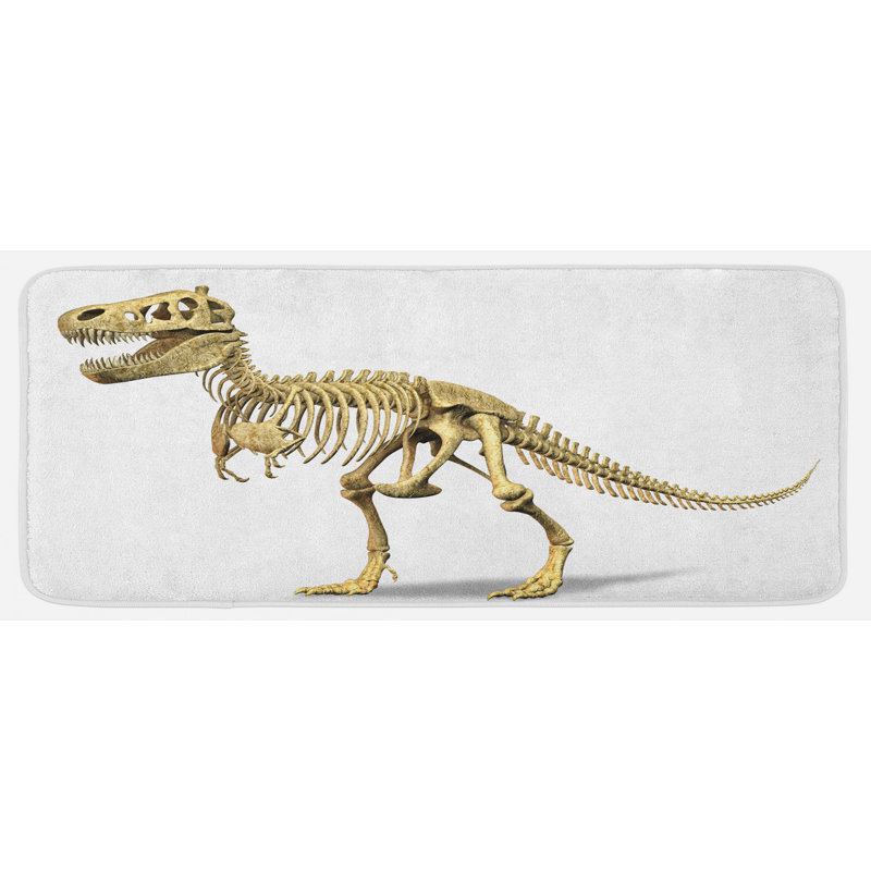 East Urban Home Primeval Wildlife Concept Fossil Animal Skeleton ...