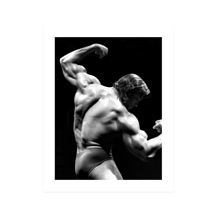 Globe Photos Entertainment Arnold Schwarzenegger " Arnold ...