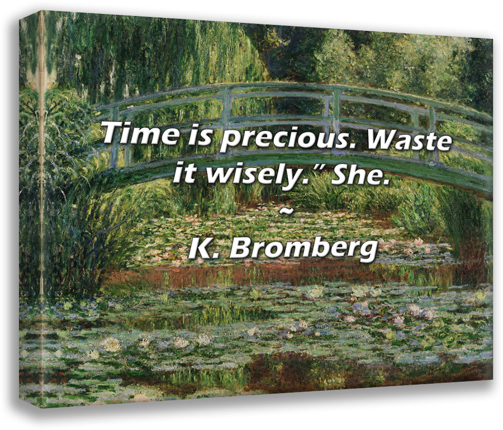 Trinx K. Bromberg Quote: Time is precious. Waste it wisely. | Wayfair