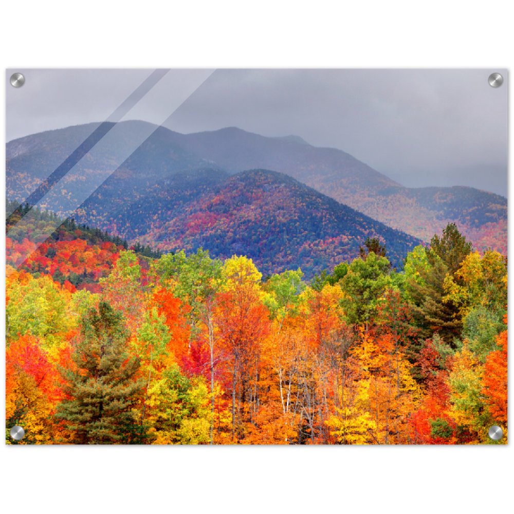 Millwood Pines Fall Adirondack Mountains Wall Décor | Wayfair