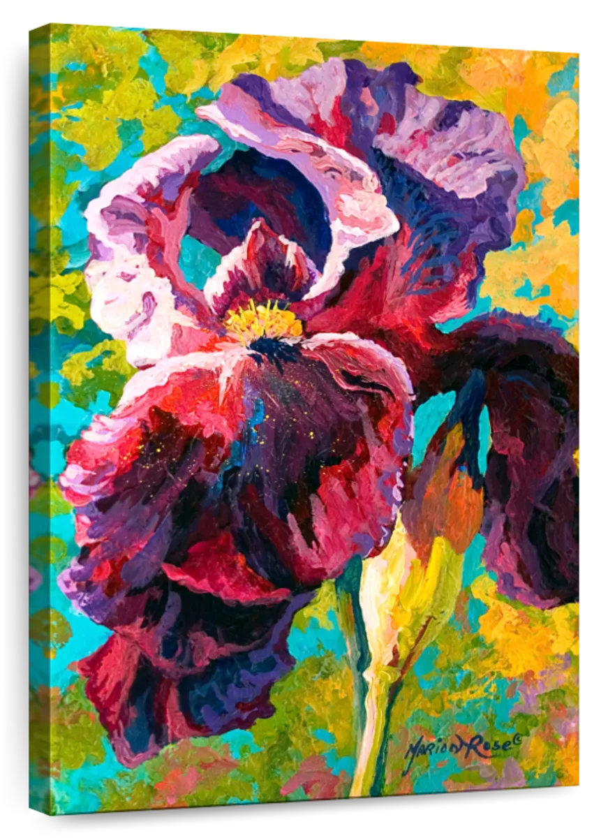 Red Barrel Studio® Iris Study I | Wayfair