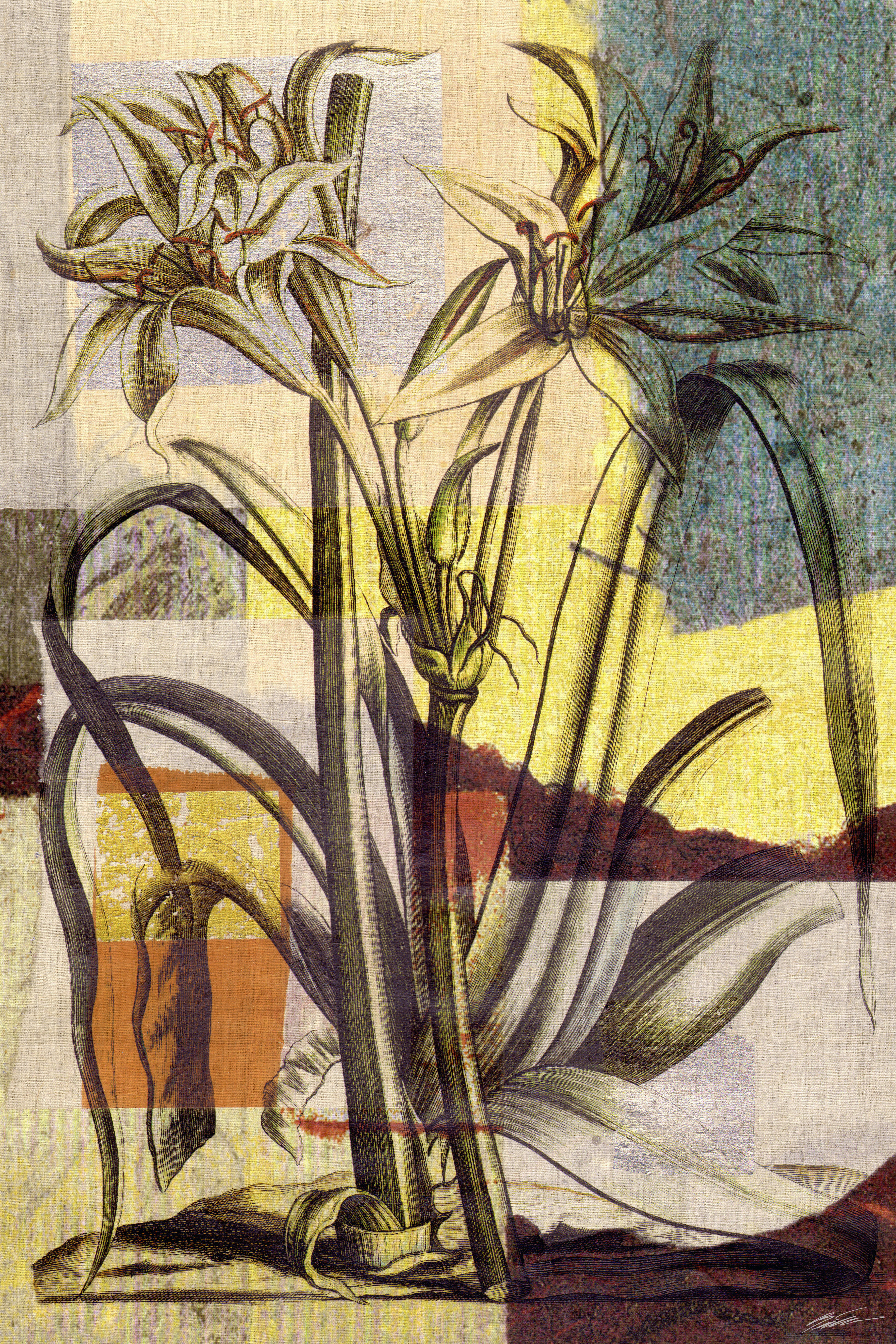 Rosalind Wheeler Lily Mix I by John Butler - Painting | Wayfair.co.uk