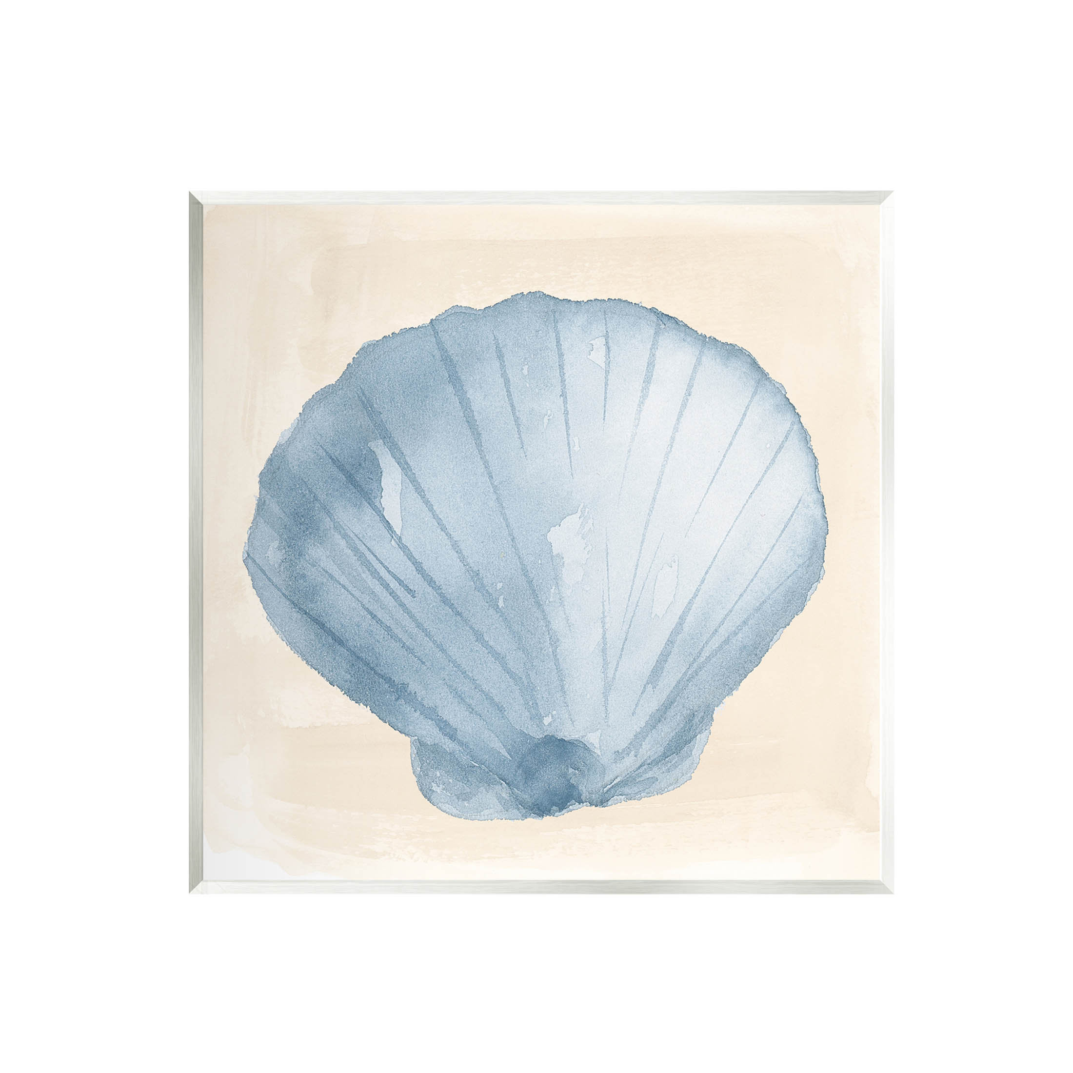 Highland Dunes Sea Life Clamshell Composition Wall Plaque Art By ...