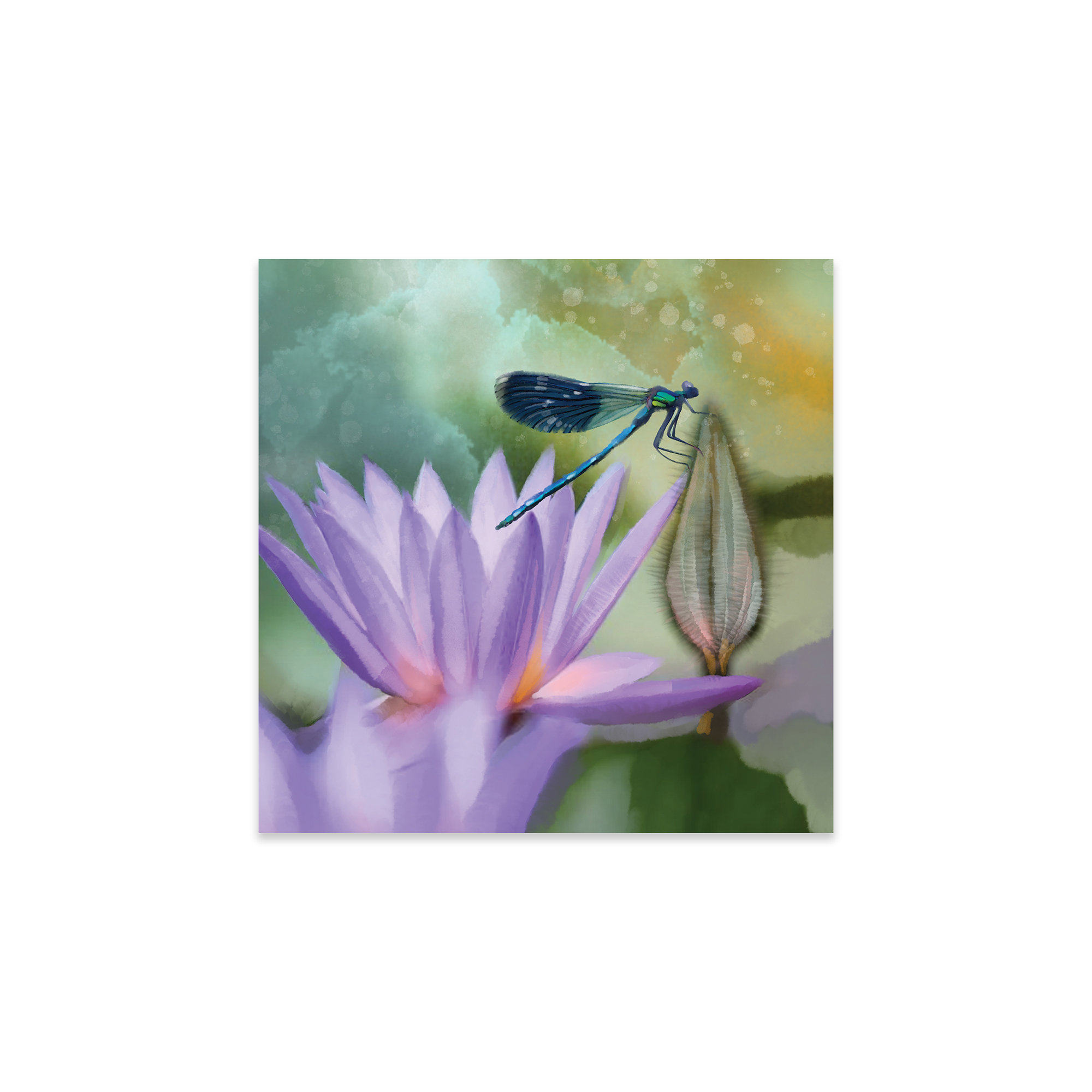 Winston Porter Lilly And Damselfly On Plastic/Acrylic by Thomas Little ...
