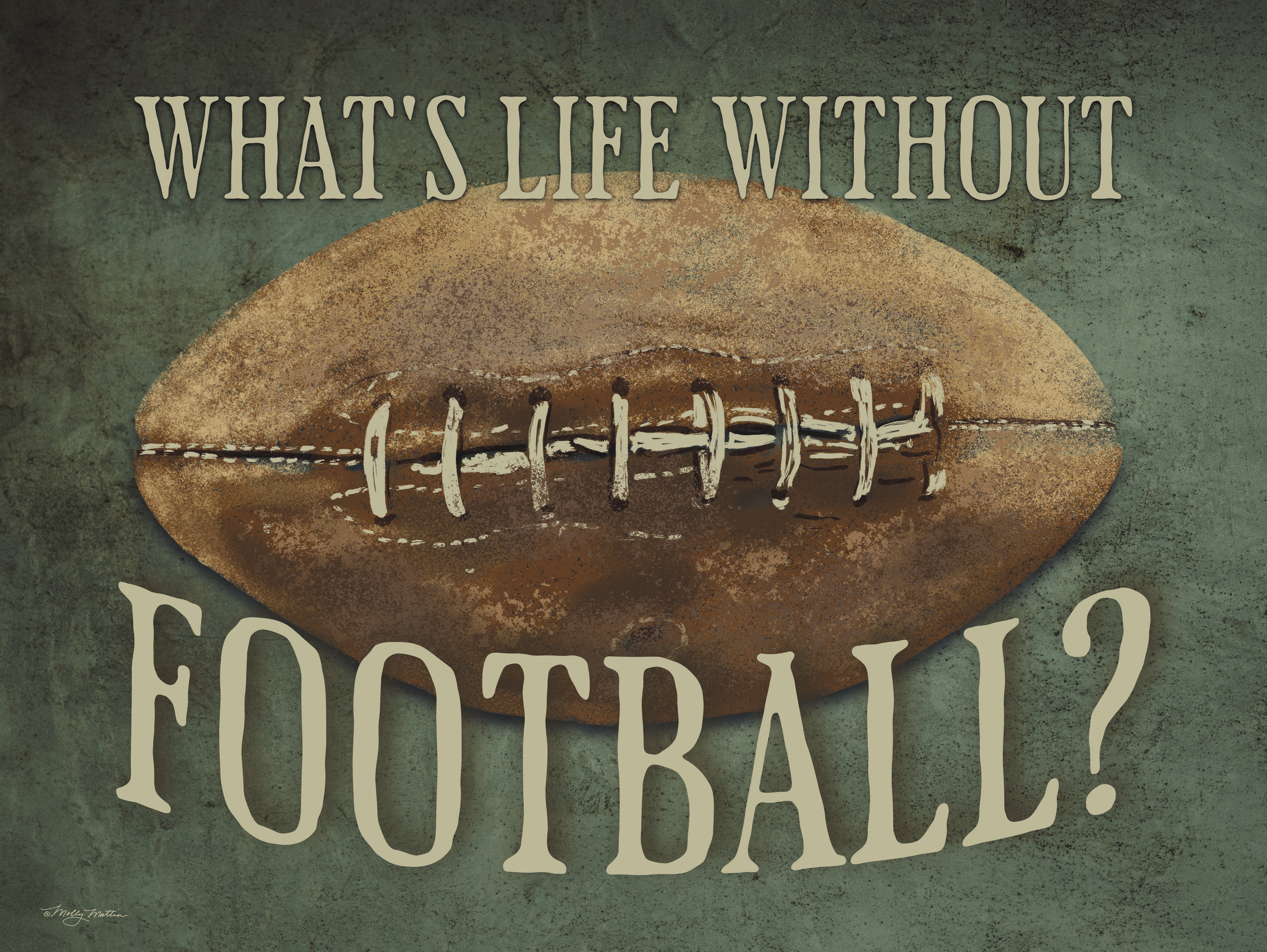 Trinx What's Life Without Football? | Wayfair