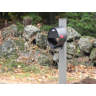 Spira Mailbox Mailbox Post Cap - Wayfair Canada