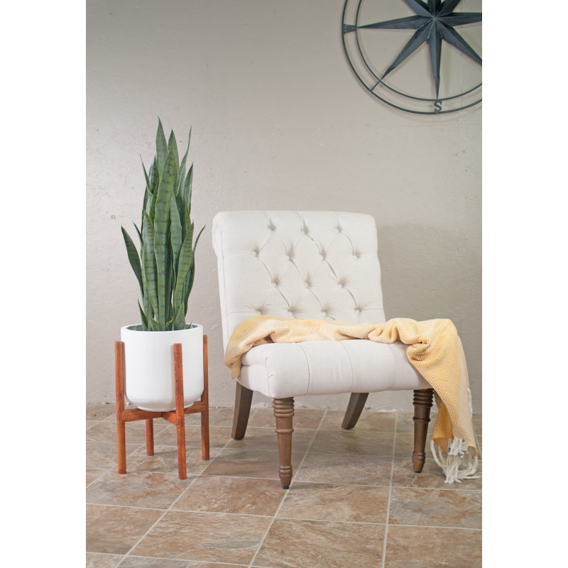 George Oliver Japera Square Corner Beech Plant Stand & Reviews | Wayfair