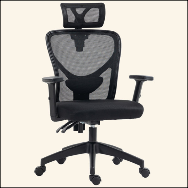 Inbox Zero High Back Ergonomic Computer Office Chair, Mesh Task Chair ...