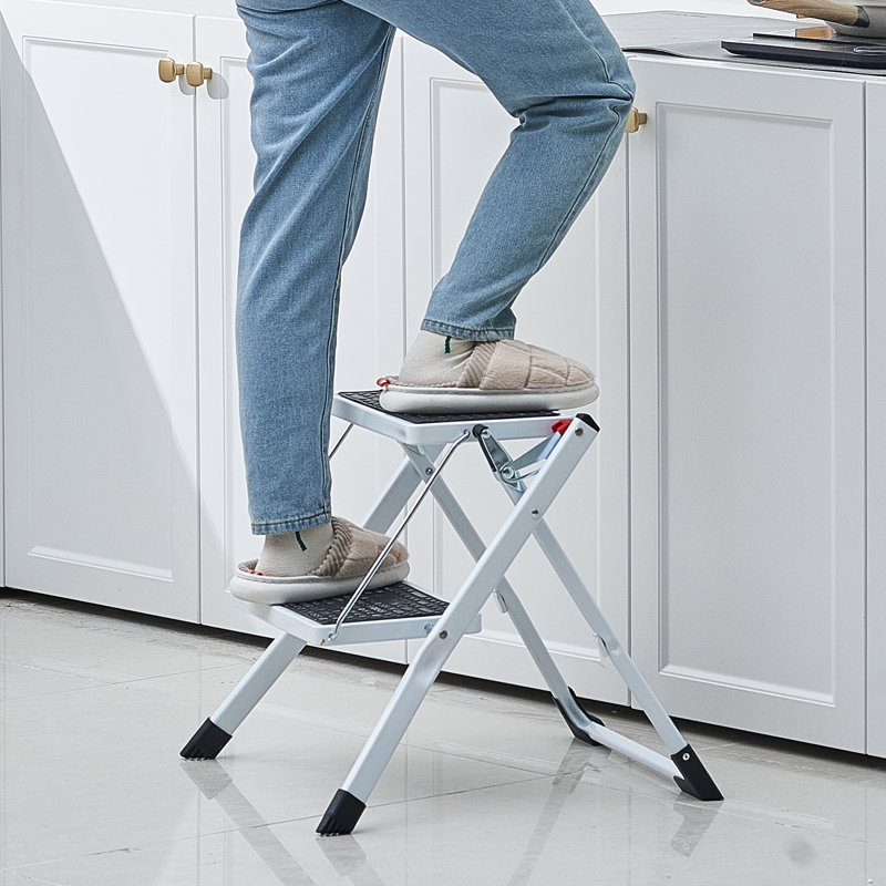 Symple Stuff Aadya 2 - Step Steel Lightweight Folding Small Step Ladder ...