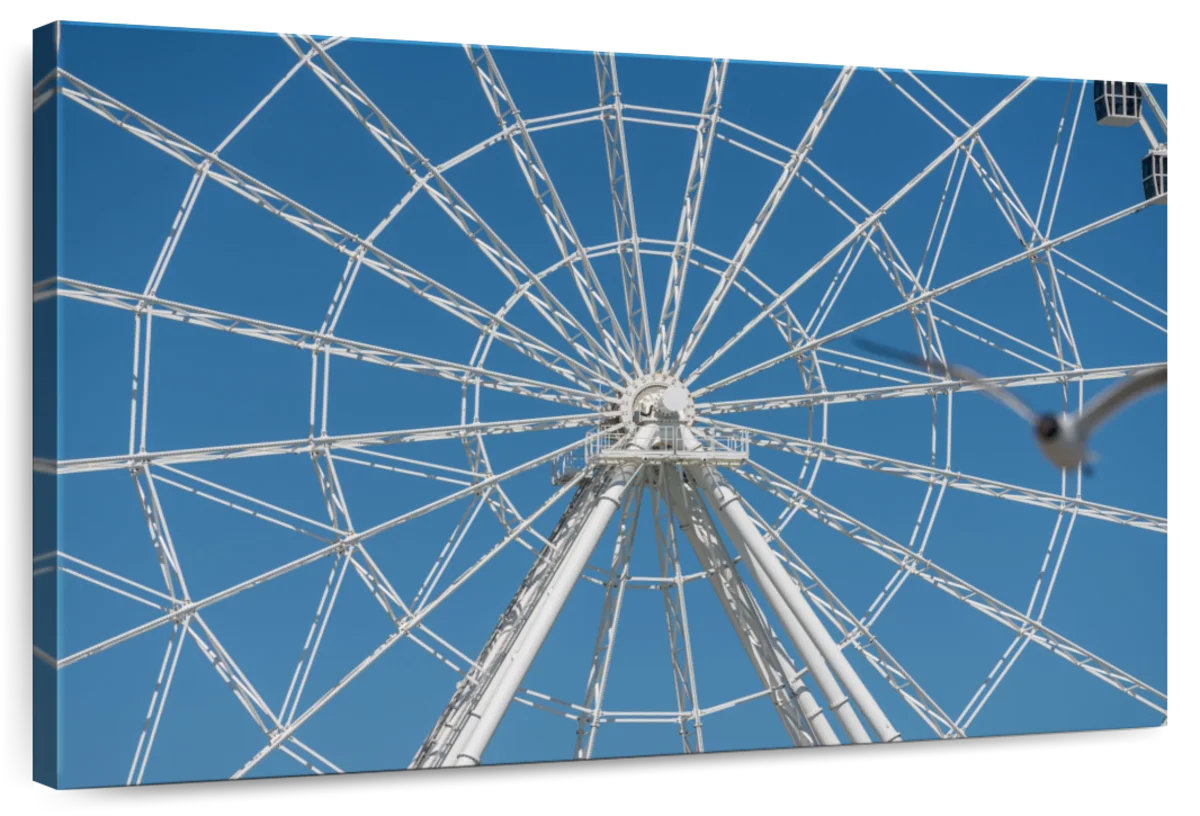 Elephant Stock Atlantic City Ferris Wheel | Wayfair