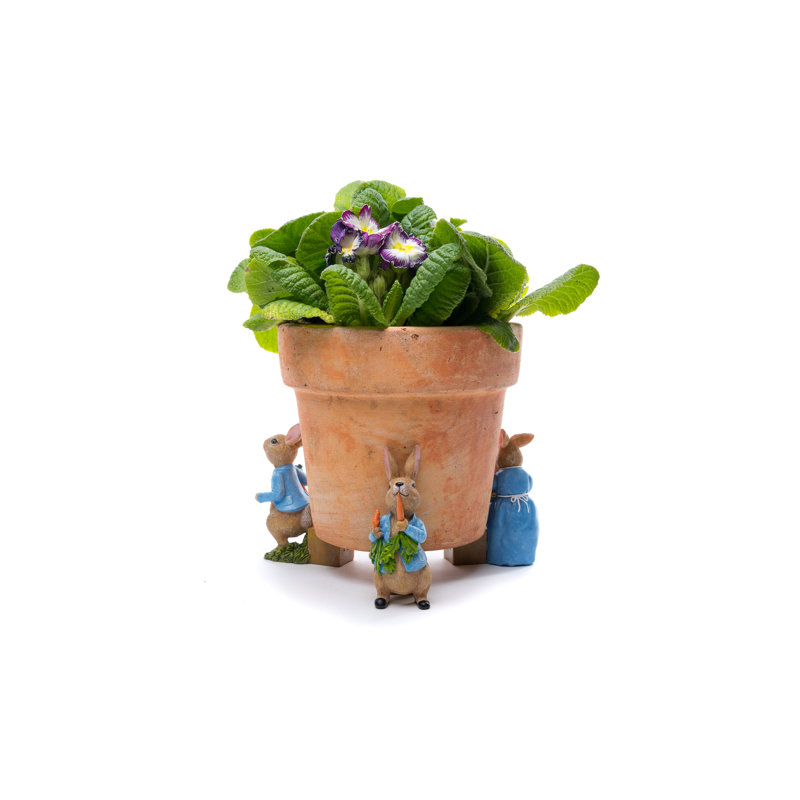 Jardinopia Beatrix Potter Peter Rabbit Coloured Planter Feet In Gift ...