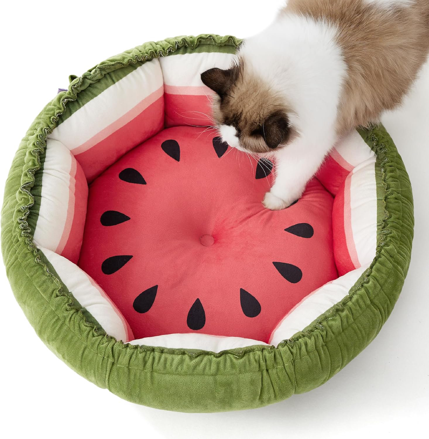 Bungalow Rose Washable Cute Cat Beds - Wayfair Canada
