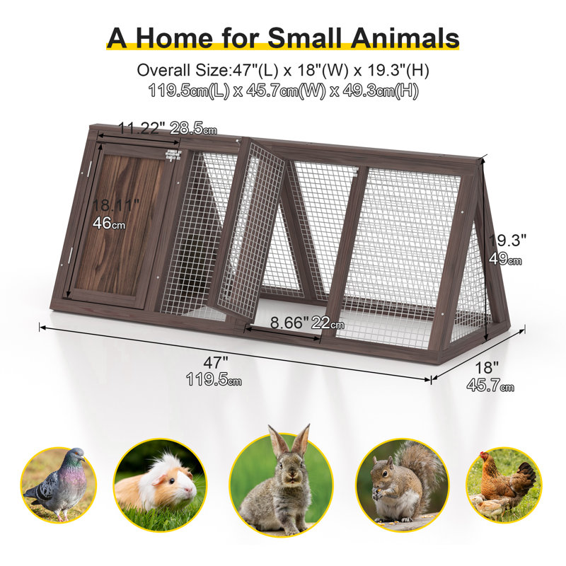 Tucker Murphy Pet™ Wooden Triangle Chicken Coops For Chicks And Small ...